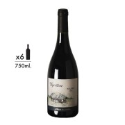 Vino Tinto Tigerstone Malbec Caja x 6